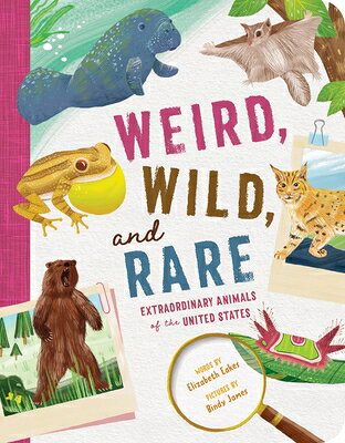 WEIRD WILD & RARE Elizabeth Eakes Bindy James DUOPRESS2026 Paperback English ISBN：9781464236532 洋書 Books for kids（児童書） J...
