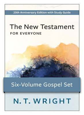 NT FOR EVERYONE GOSPEL SET New Testament for Everyone N. T. Wright WESTMINSTER PR2023 Paperback English ISBN：97806642665...