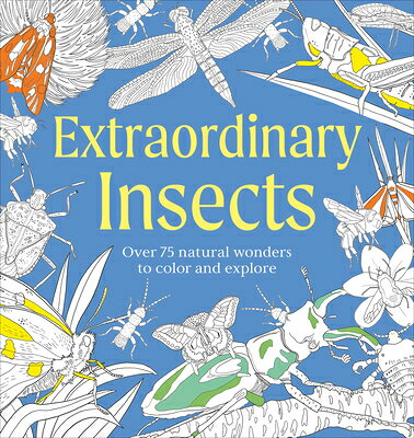 COLOR BKーEXTRAORDINARY INSECTS Natural Wonders Coloring Book DK DK PUB2026 Paperback English ISBN：9798217306602 洋書 Famil...