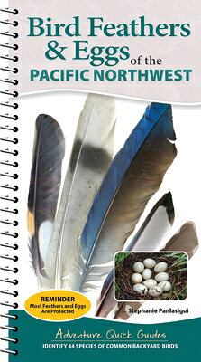 BIRD FEATHERS & EGGS OF THE PA Adventure Quick Guides Stephanie Panlasigui ADVENTUREKEEN2026 Spiral English ISBN：9781647...