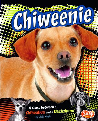 CHIWEENIE Designer Dogs Molly Kolpin Tanya Dewey SNAP BOOKS2012 Hardcover English ISBN：9781429676670 洋書 Books for kids（児...