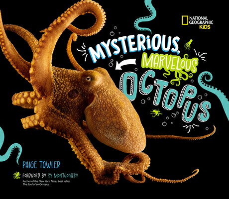 MYSTERIOUS MARVELOUS OCTOPUS Paige Towler Sy Montgomery NATL GEOGRAPHIC SOC2024 Hardcover English ISBN：9781426376672 洋書 ...