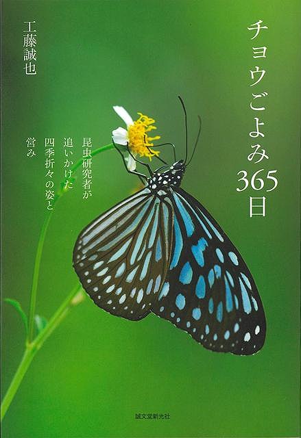 工藤　誠也 （株）誠文堂新光社チョウゴヨミ365ニチーコンチュウケンキュウシャガオイカケタシキオリオリノスガタトイトナミ クドウ　セイヤ 予約締切日：2026年09月24日 ページ数：383p サイズ：単行本 ISBN：4528189916...