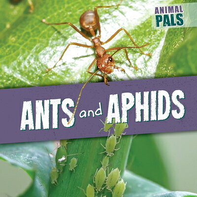 ANTS & APHIDS Animal Pals Janey Levy GARETH STEVENS INC2021 Library　Binding English ISBN：9781538266724 洋書 Books for kids...