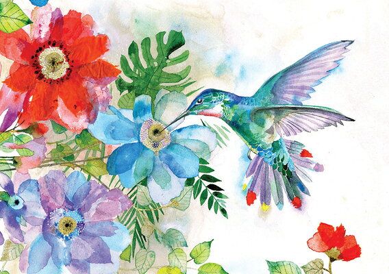 HUMMINGBIRD GARDEN NOTE CARDS ー PETER PAUPER2025 Novelty English ISBN：9781441346742 洋書 NonーClassifiable（その他）