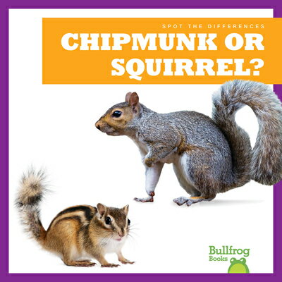 CHIPMUNK OR SQUIRREL Spot the Differences Lily Austen BULLFROG BOOKS2025 Library　Binding English ISBN：9798892136754 洋書 B...