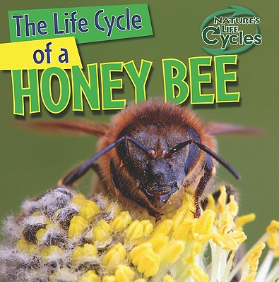 LIFE CYCLE OF A HONEYBEE Nature's Life Cycles Barbara M. Linde GARETH STEVENS INC2011 Paperback English ISBN：97814339467...