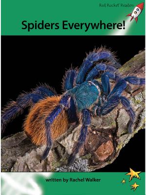 SPIDERS EVERYWHERE Red Rocket (Tm) Readers Advanced Fluency Level 2 Rachel Walker FLYING START BOOKS2011 Paperback Engli...