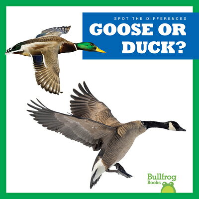 GOOSE OR DUCK Spot the Differences Natalie Deniston BULLFROG BOOKS2025 Library　Binding English ISBN：9798892136815 洋書 Boo...