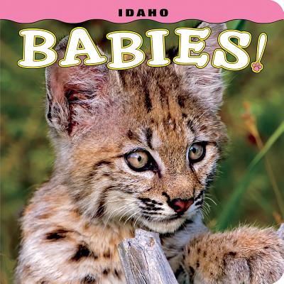 IDAHO BABIESーBOARD Babies! (Farcountry Press) Steph Lehmann FARCOUNTRY PR2016 Hardcover English ISBN：9781560376842 洋書 Bo...