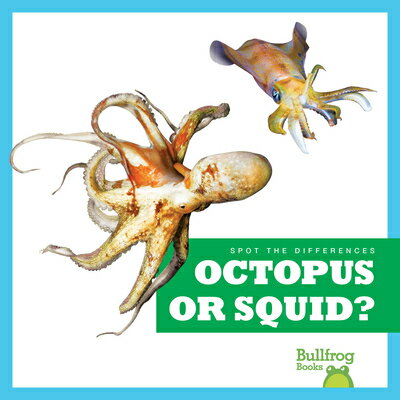 OCTOPUS OR SQUID Spot the Differences Natalie Deniston BULLFROG BOOKS2025 Library　Binding English ISBN：9798892136846 洋書 ...