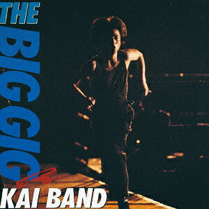 甲斐バンドザ ビッグ ギグ カイバンド 発売日：2013年03月27日 予約締切日：2013年03月07日 THE BIG GIG JAN：4988006236851 TOCTー95171/2 ユニバーサルミュージック ユニバーサルミュージ...