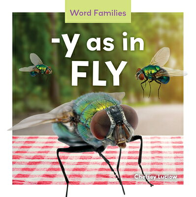ーY AS IN FLY Word Families Chelsey Luciow LAUNCH2024 Library　Binding English ISBN：9781098286873 洋書 Books for kids（児童書） J...