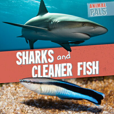 SHARKS & CLEANER FISH Animal Pals Janey Levy GARETH STEVENS INC2021 Library　Binding English ISBN：9781538266939 洋書 Comput...