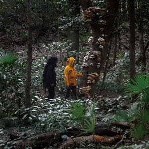 20GUILDERS2 トゥエンティーギルダーズ 発売日：2017年02月25日 予約締切日：2017年02月21日 2 JAN：4582237836943 CD95ー67 ギューンカセット (株)ブリッジ [Disc1] 『2』／CD ア...