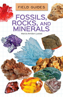 FOSSILS ROCKS & MINERALS Field Guides Set 2 Marcia Amidon Lusted ABDO REFERENCE2021 Library　Binding English ISBN：9781532...