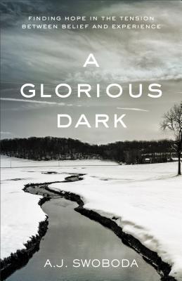 GLORIOUS DARK A. J. Swoboda BAKER PUB GROUP2015 Paperback English ISBN：9780801016967 洋書 Social Science（社会科学） Religion