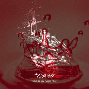 サンズトラックワッツ ドゥー ユー ミーン ライアー サンズトラック 発売日：2017年02月24日 予約締切日：2017年02月20日 WHAT DO YOU MEAN?/LIAR JAN：4525118067005 ONSSー3034 ...