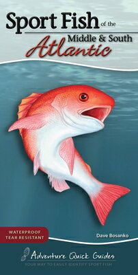 SPORT FISH OF THE MIDDLE & SOU Adventure Quick Guides Dave Bosanko ADVENTURE PUBN2017 Spiral English ISBN：9781591937012 ...