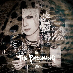 Royzビギニング ロイズ 発売日：2015年05月06日 THE BEGINNING JAN：4582281547017 BPRVDー170 B.P.RECORDS タワーレコード(株) [Disc1] 『THE BEGINNING』／C...