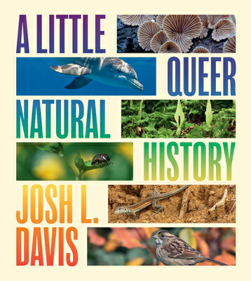 LITTLE QUEER NATURAL HIST Josh L. Davis UNIV OF CHICAGO PR2024 Paperback English ISBN：9780226837031 洋書 Computers & Scien...