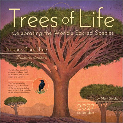 TREES OF LIFE 2027 WALL CAL Matt Strieby AMBER LOTUS2026 Wall English ISBN：9798881607036 洋書 Computers & Science（コンピューター＆...