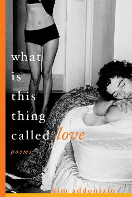 WHAT IS THIS THING CALLED LOVE Kim Addonizio W W NORTON & CO2005 Paperback Revised English ISBN：9780393327090 洋書 Fiction...
