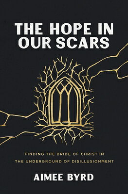 HOPE IN OUR SCARS Aimee Byrd ZONDERVAN2024 Paperback English ISBN：9780310157144 洋書 Social Science（社会科学） Religion