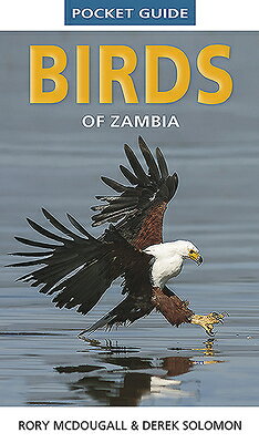 PCKT GD BIRDS OF ZAMBIA Pocket Guides Derek Solomon Rory McDougall PENGUIN RANDOM HOUSE SOUTH AFR2021 Paperback English ...