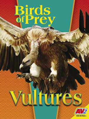 VULTURES Birds of Prey E. Melanie Watt AV22022 Paperback English ISBN：9781791147167 洋書 Books for kids（児童書） Juvenile Nonf...