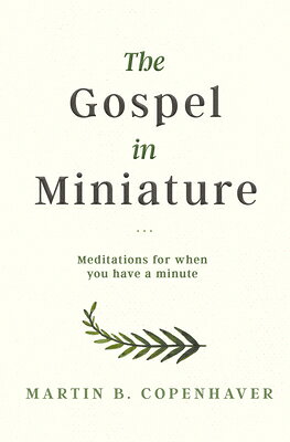 GOSPEL IN MINIATURE Martin B. Copenhaver SKYLIGHT PATHS2018 Paperback English ISBN：9781683367192 洋書 Social Science（社会科学）...