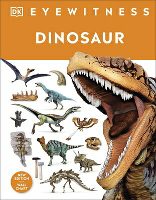 DK DORLING KINDERSLEY UKイギリス ISBN：9780241507193 洋書 NonーClassifiable（その他）