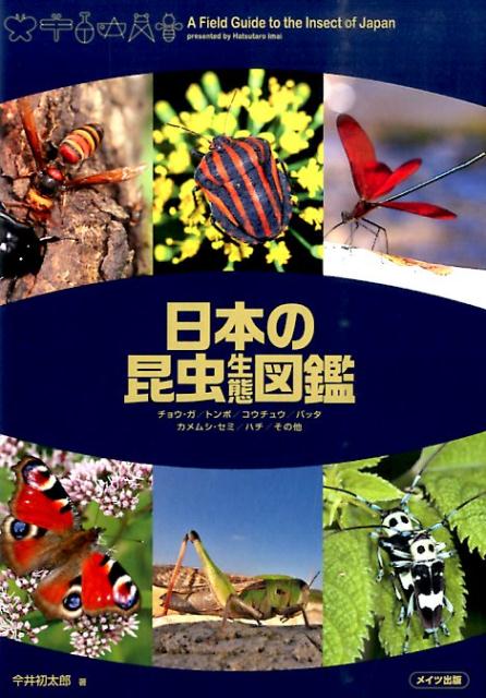 今井初太郎 メイツユニバーサルコンテンツニホン ノ コンチュウ セイタイ ズカン イマイ,ハツタロウ 発行年月：2016年03月29日 ページ数：295p サイズ：単行本 ISBN：9784780417258 今井初太郎（イマイハツタロウ）...
