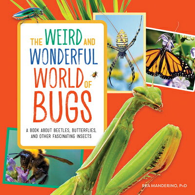 WEIRD & WONDERFUL WORLD OF BUG Rea Manderino ROCKRIDGE PR2020 Paperback English ISBN：9781647397326 洋書 Books for kids（児童書...