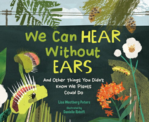 WE CAN HEAR W/O EARS Lisa Westberg Peters Danielle Ridolfi ASTRA HOUSE2026 Hardcover English ISBN：9781635927337 洋書 Books...