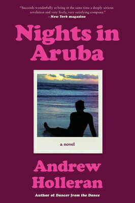 NIGHTS IN ARUBA Andrew Holleran HARPERCOLLINS2001 Paperback English ISBN：9780060937348 洋書 Fiction & Literature（小説＆文芸） Fi...