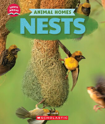 NESTS (LEARN ABT ANIMAL HOMES) Learn about Jay Leslie CHILDRENS PR2025 Hardcover English ISBN：9781546177364 洋書 Books for...