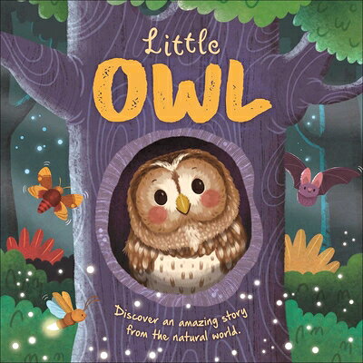NATURE STORIES LITTLE OWLーDISC Nature Stories Igloobooks Rose Harkness Gisela Bohrquez IGLOOBOOKS2024 Board　Books Englis...