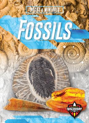 FOSSILS Rocks & Minerals Patrick Perish BELLWETHER MEDIA2019 Paperback English ISBN：9781618917409 洋書 Books for kids（児童書）...