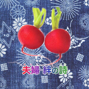 (オムニバス)メオト キズナノウタ 発売日：2013年07月17日 MEOTO.KIZUNA NO UTA JAN：4988004127519 TECEー3162 (株)テイチクエンタテインメント (株)テイチクエンタテインメント [Dis...
