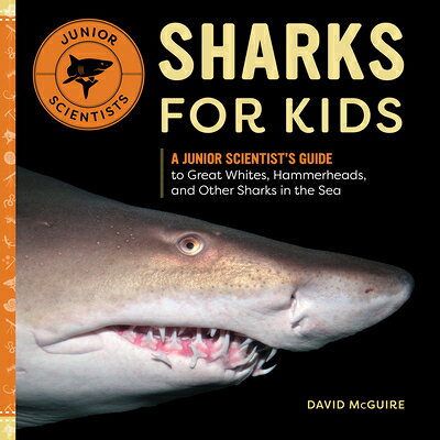 SHARKS FOR KIDS Junior Scientists David McGuire ROCKRIDGE PR2020 Paperback English ISBN：9781647397579 洋書 Books for kids（...