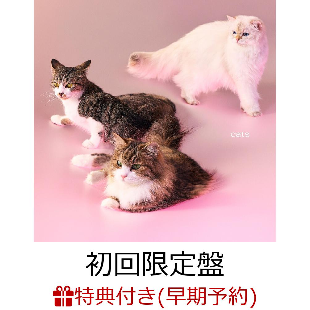 My Hair is Bad ※クレジットカード決済限定になります。代引きはできません。予約後のキャンセルはできませんのであらかじめご了承ください。BKSCPN_【newcd】 マイヘアイズバッド 発売日：2026年09月09日 JAN：2...