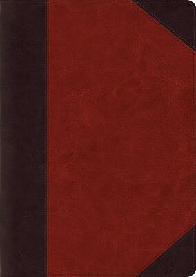 ESV STUDY BIBLE LP (TRUTONE BR Esv Bibles CROSSWAY BOOKS2017 Imitation　Leather English ISBN：9781433557668 洋書 NonーClassif...