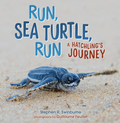 RUN SEA TURTLE RUN Stephen R. Swinburne MILLBROOK PR2024 Paperback English ISBN：9781728477749 洋書 Books for kids（児童書） Juv...