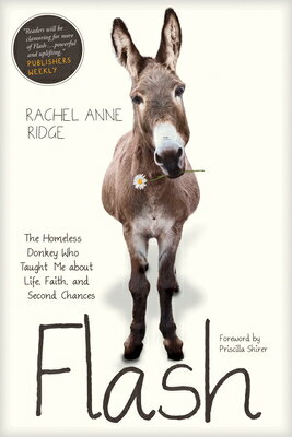 FLASH Flash the Donkey Rachel Anne Ridge Priscilla Shirer TYNDALE MOMENTUM2016 Paperback English ISBN：9781414397849 洋書 S...
