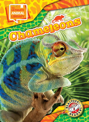 CHAMELEONS The Ultimate Animal Library Janie Scheffer BLASTOFF READERS2026 Library　Binding English ISBN：9798893047912 洋書...