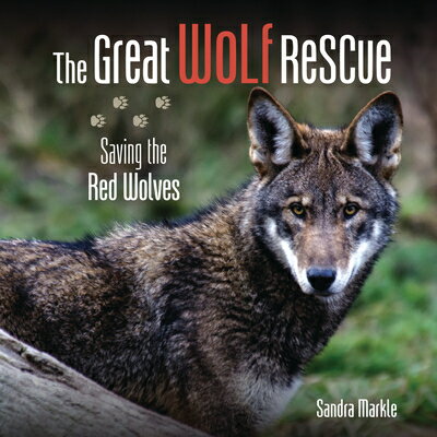 GRT WOLF RESCUE Sandra Markle's Science Discoveries Sandra Markle MILLBROOK PR2024 Library　Binding English ISBN：97817284...