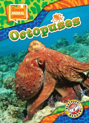 OCTOPUSES The Ultimate Animal Library Chris Bowman BLASTOFF READERS2026 Library　Binding English ISBN：9798893047967 洋書 Bo...
