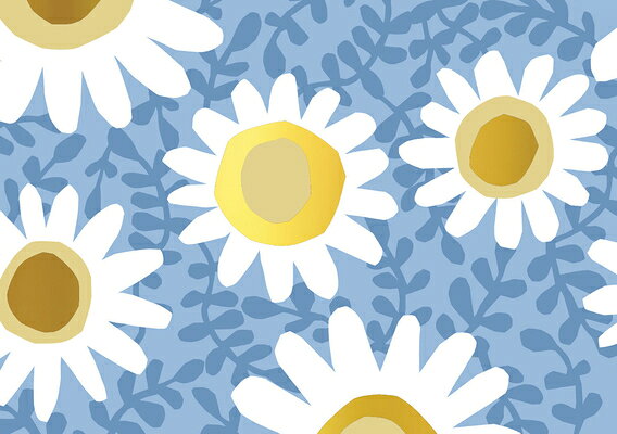 DAISIES NOTE CARDS (14 CARDS 1 ー PETER PAUPER2026 Novelty English ISBN：9781441347978 洋書 NonーClassifiable（その他）