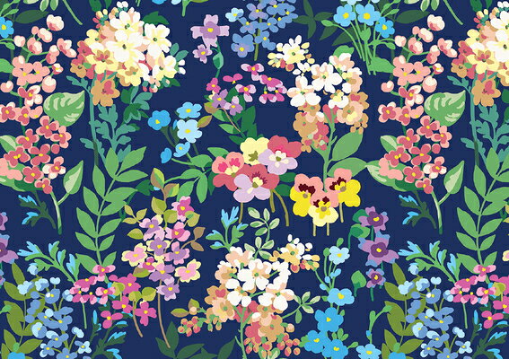 MEADOW BLOSSOMS NOTE CARDS (14 Peter Pauper Press Inc PETER PAUPER2026 Novelty English ISBN：9781441347992 洋書 NonーClassif...